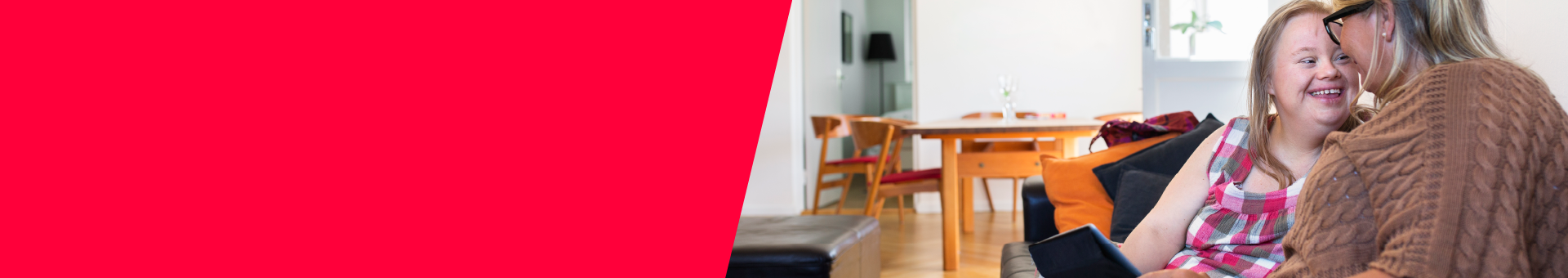 FSNE_WEB_BANNER_RESOURCES – FSNE